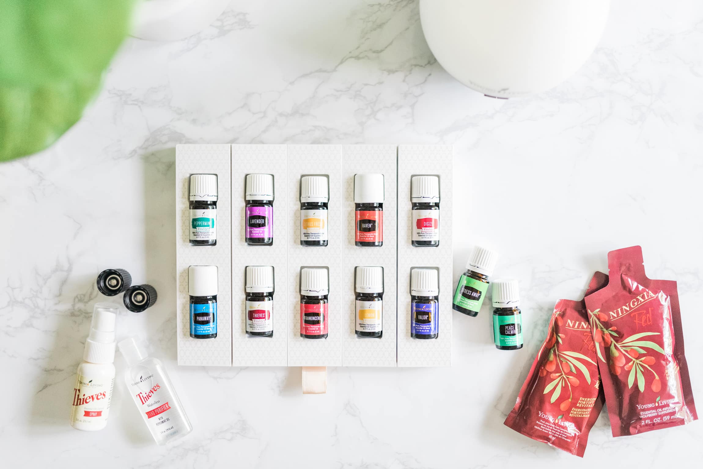 5 Premium Starter Bundle Diffuser Recipes - Recipes with Essential Oils