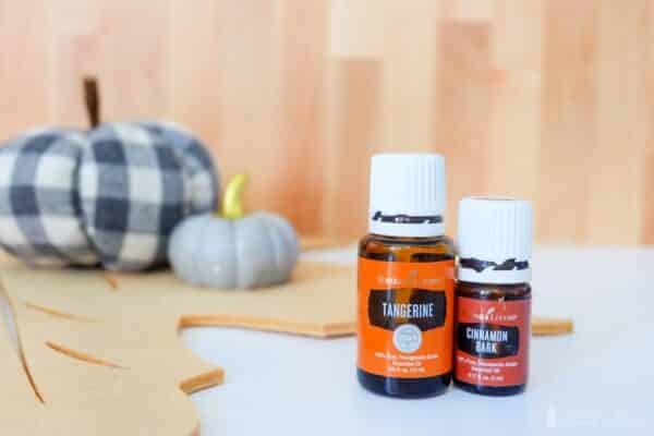 9 Fall Harvest Diffuser Blend Recipes - Recipes with Essential Oils
