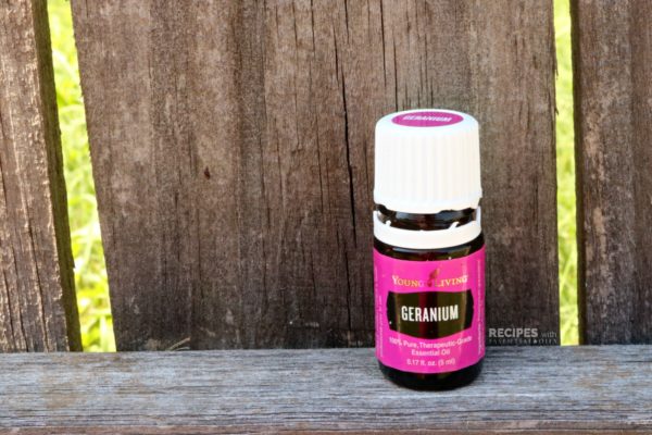 All About Geranium Essential Oil - Recipes with Essential Oils