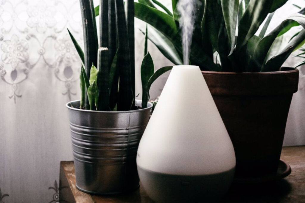 Diffuser Recipes to Bring the Outdoors In - Recipes with Essential Oils