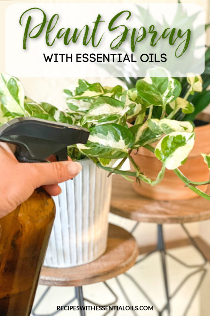 Natural Plant Spray for Indoor & Outdoor Plants - Recipes with ...